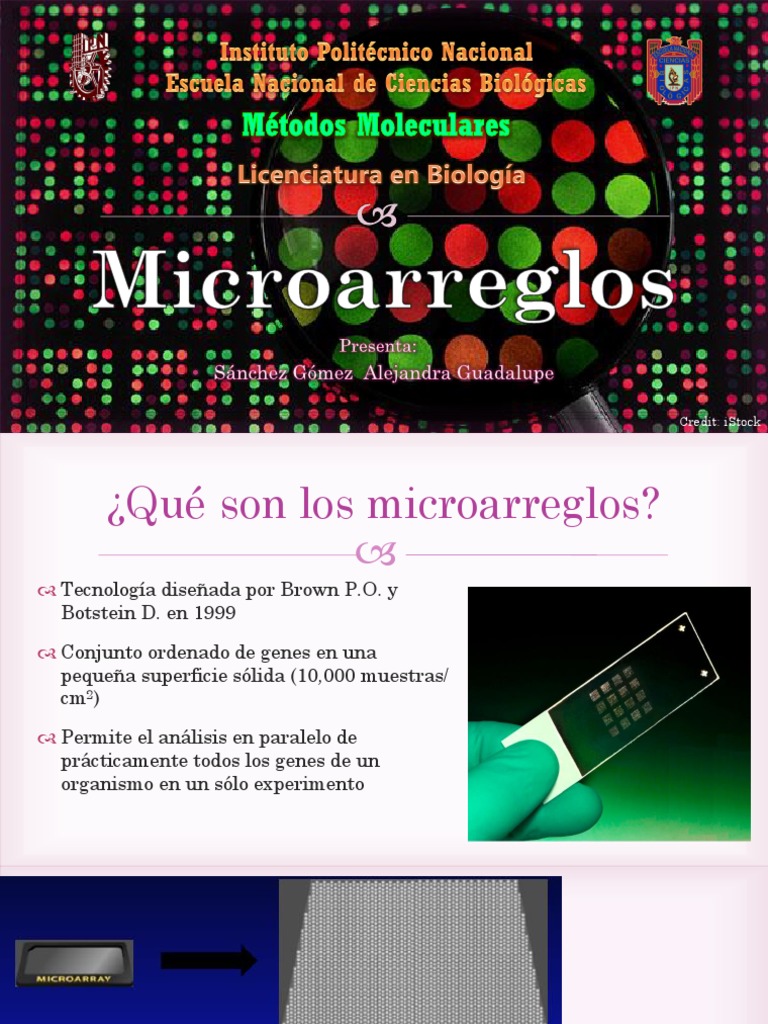 Microarreglos (Microarrays) Marcador Molecular | Adn Microarray ...