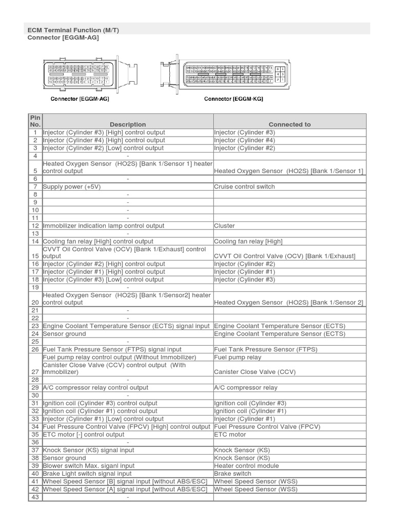 ECM Terminal Function | PDF | Throttle | Fuel Injection