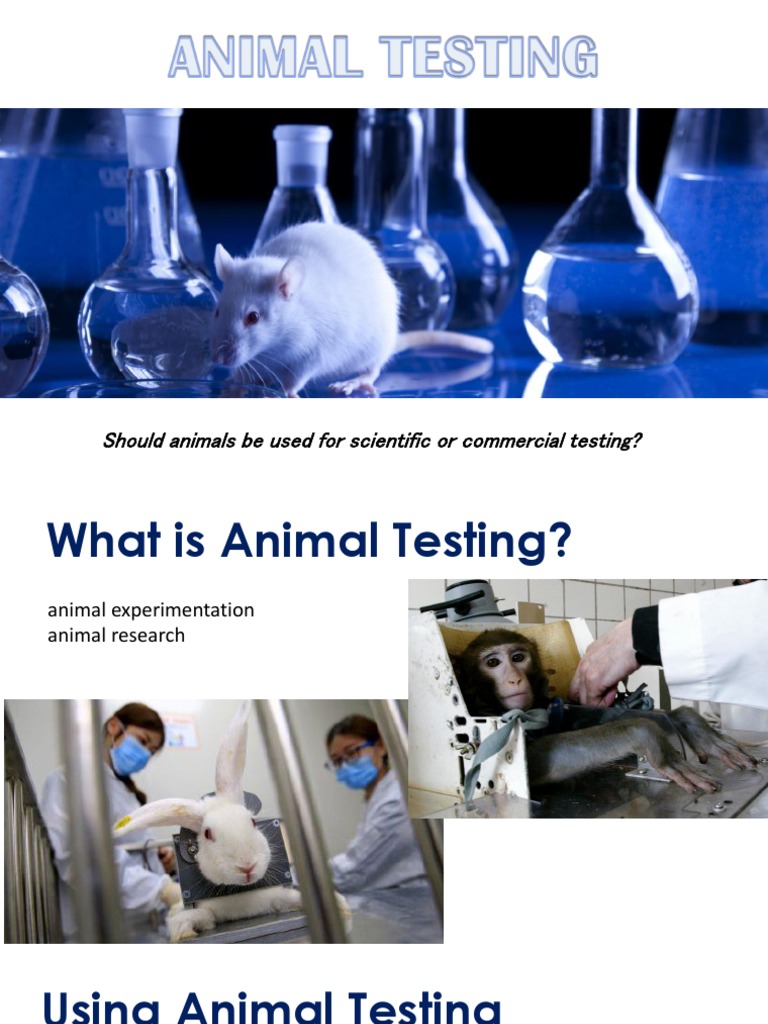 Project Animal Testing | PDF