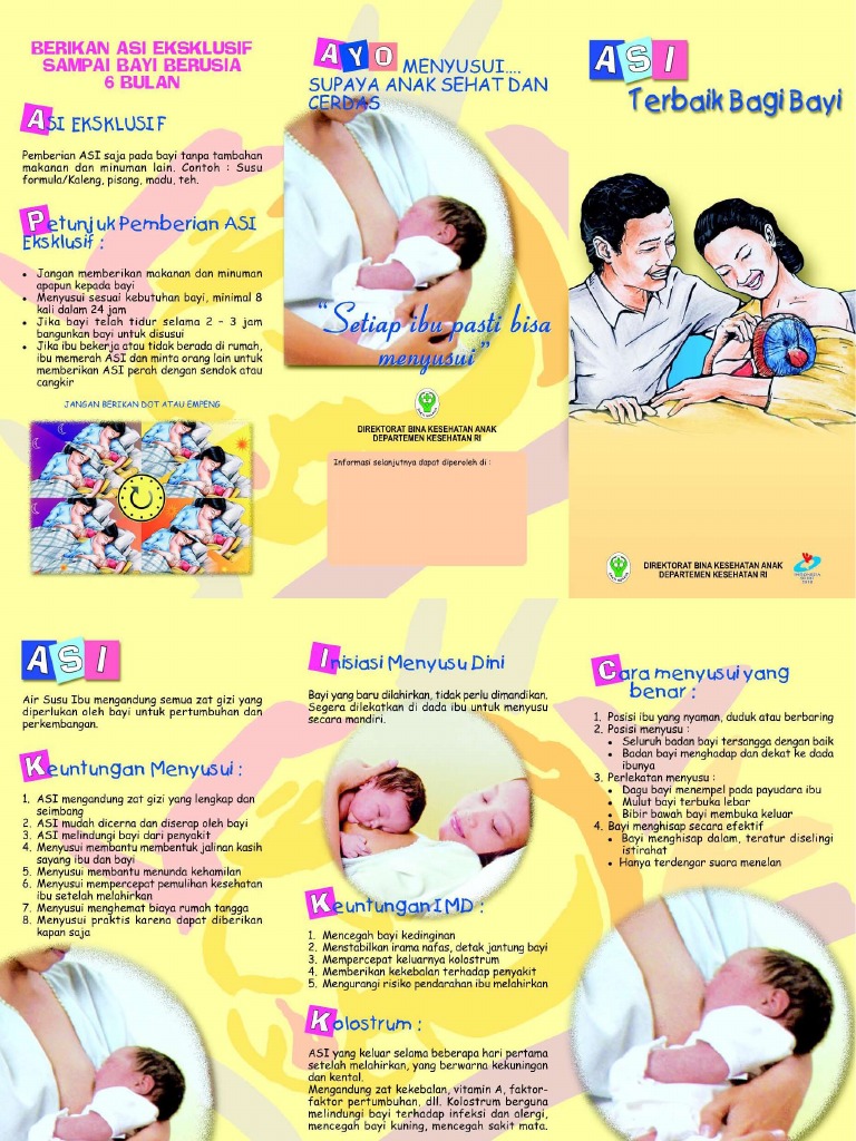 Leaflet Kesehatan Bayi Baru Lahir PDF | PDF