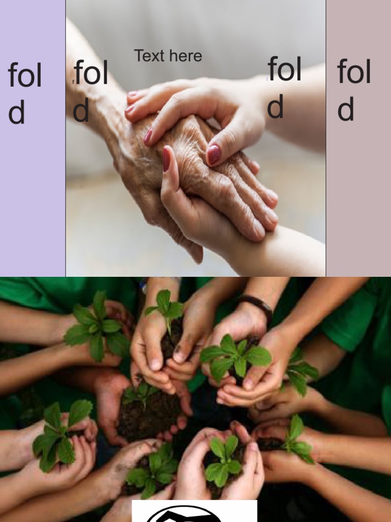 Text Here: Fol D Fol D Fol D Fol D | PDF