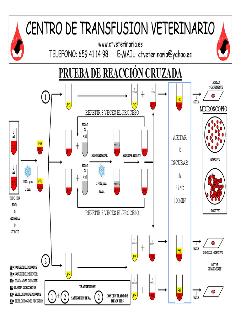 4 PRUEBA DE REACCION CRUZADA.pdf