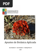 Tallos Modificados - Botánica | PDF | Tallo de la planta | Morfología ...