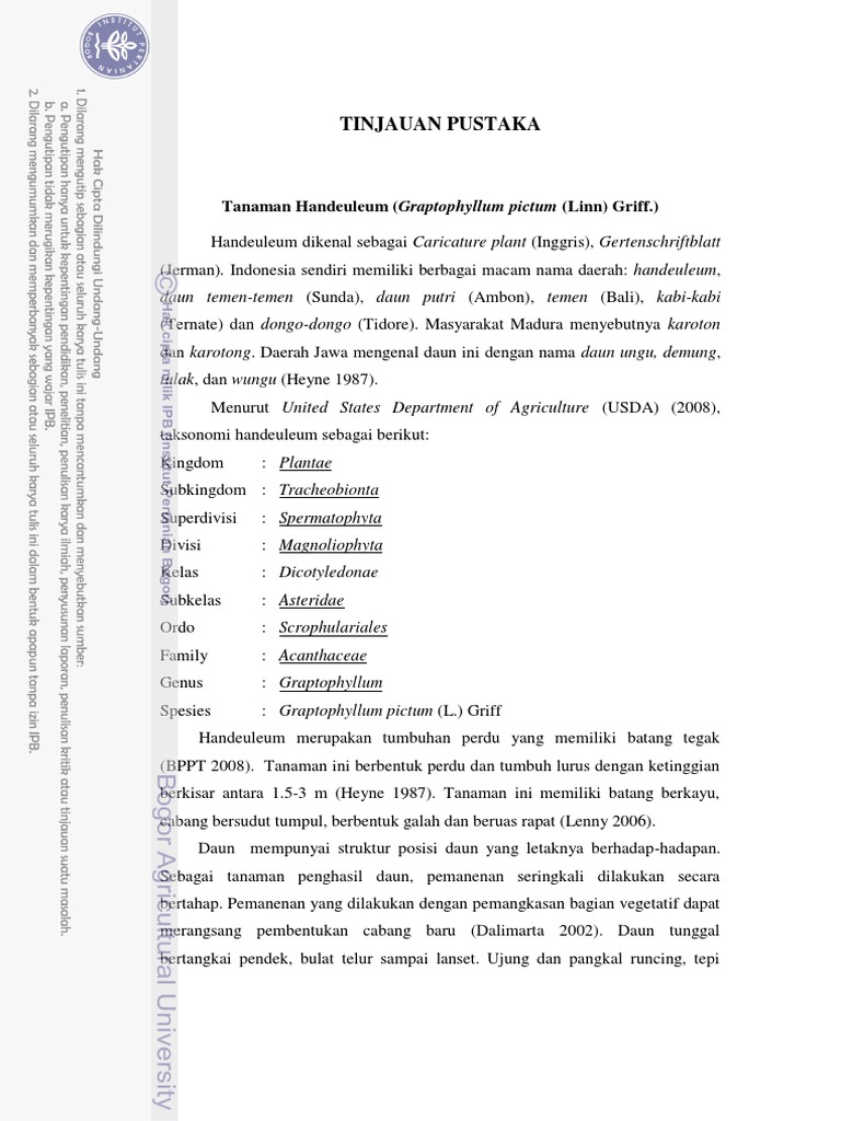 Tanaman Handeleum | PDF | Griya & Taman | Sains & Matematika
