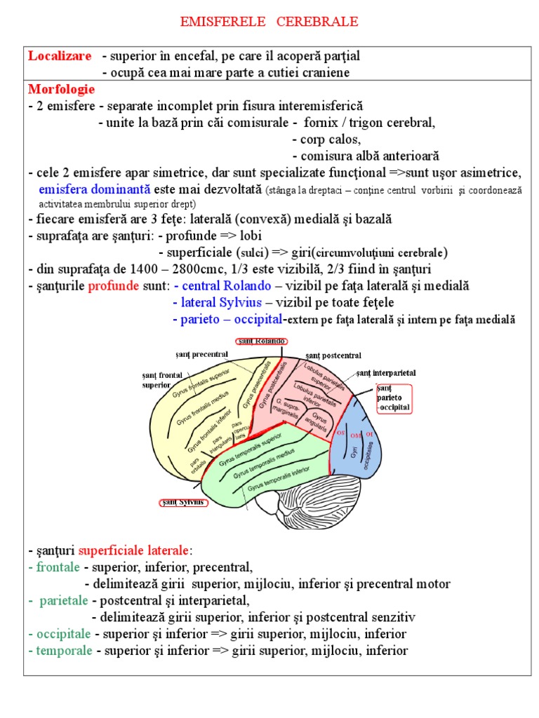 EMISFERELE CEREBRALE