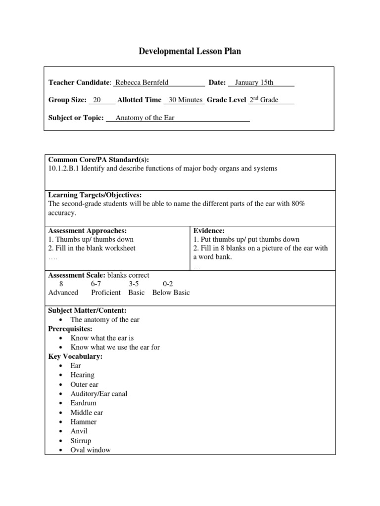 Lesson Plan 1 | PDF | Ear | Hearing