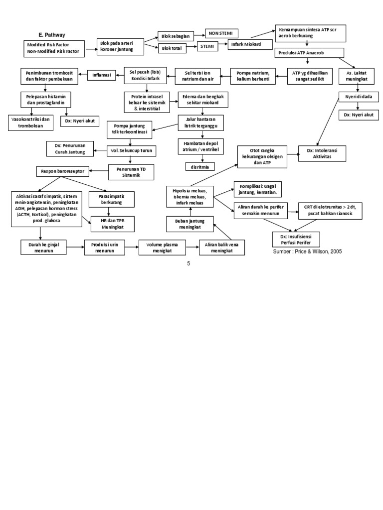 Pathway STEMI | PDF