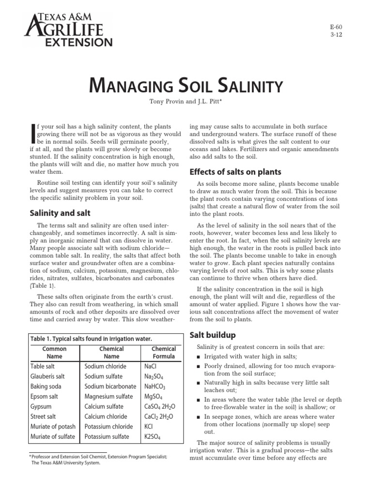 Managing Soil Salinity | PDF | Sodium Chloride | Soil