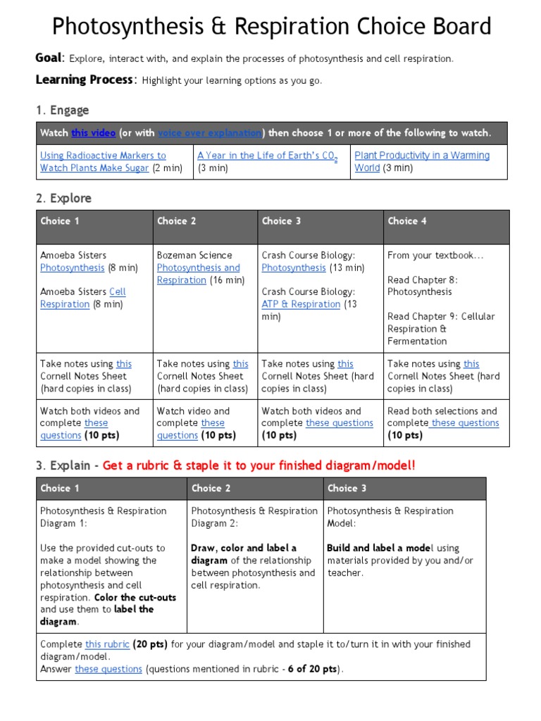 Photosynthesis Respiration Choice Board | PDF | Scientific Modeling ...