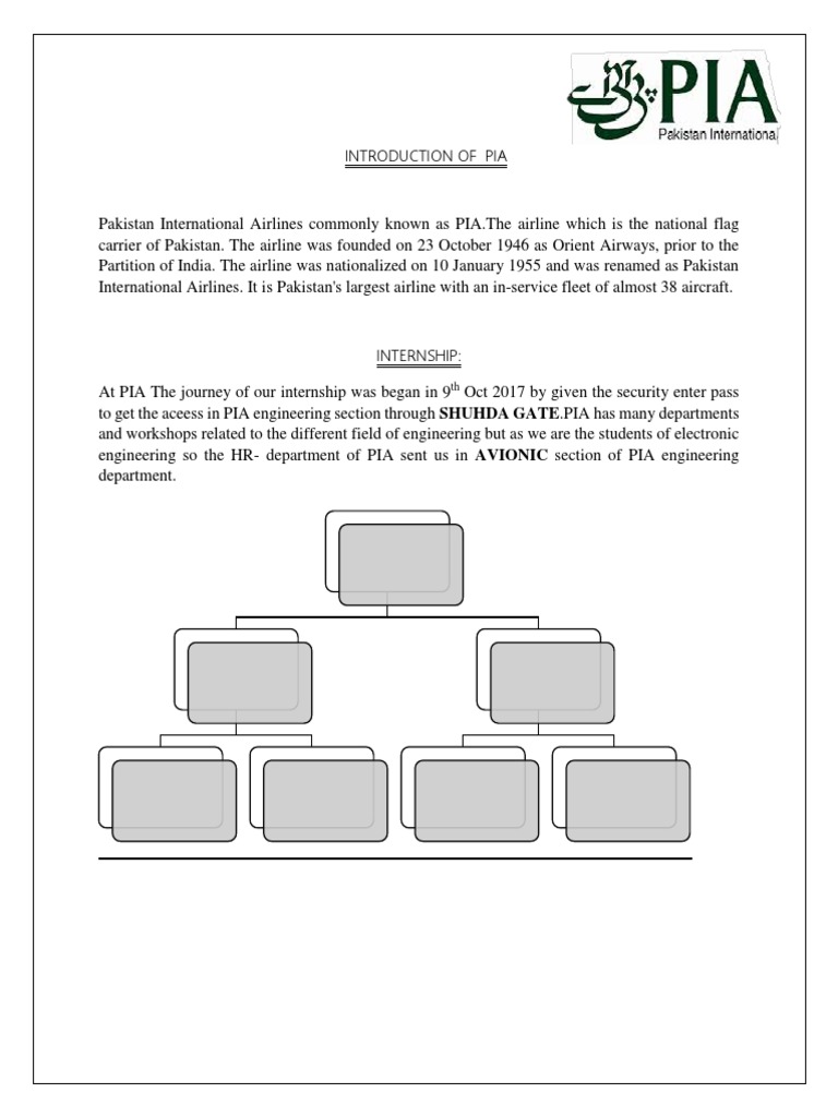 Introduction of Pia | PDF