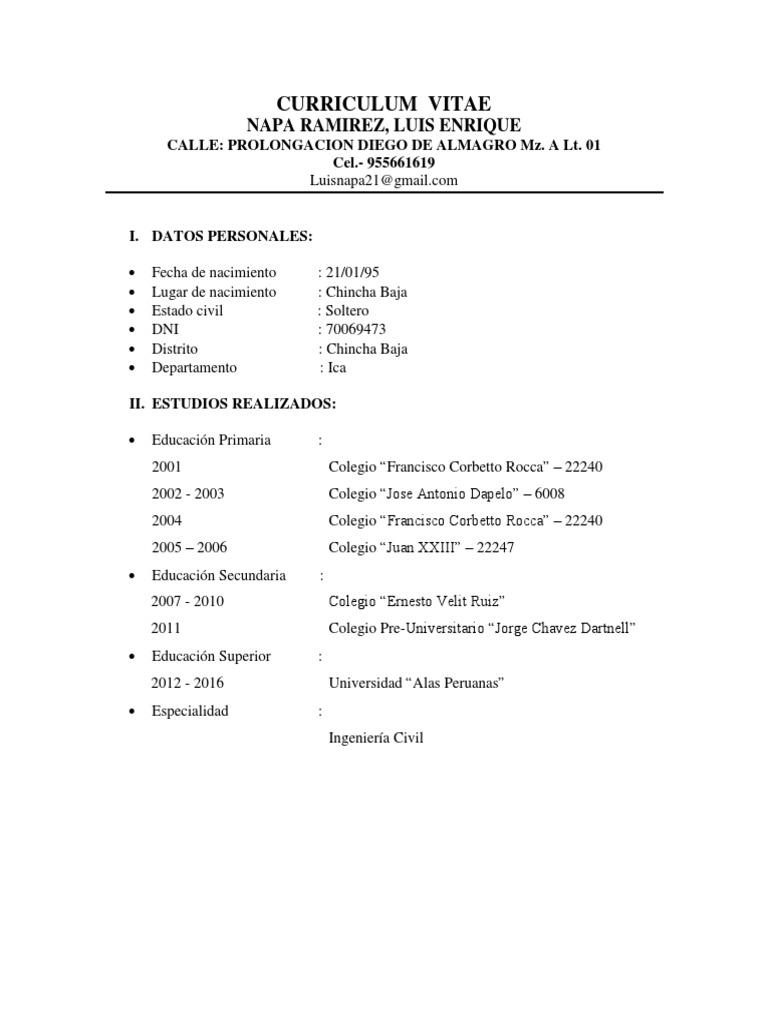 Curriculum Vitae - Luis Enrique | PDF | Presupuesto | Educación avanzada