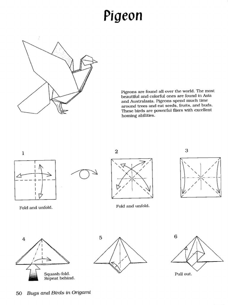Origami - Pigeon.pdf