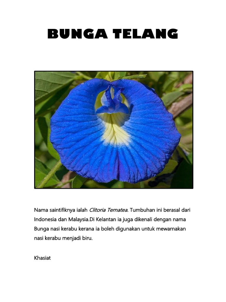 Bunga Telang | PDF