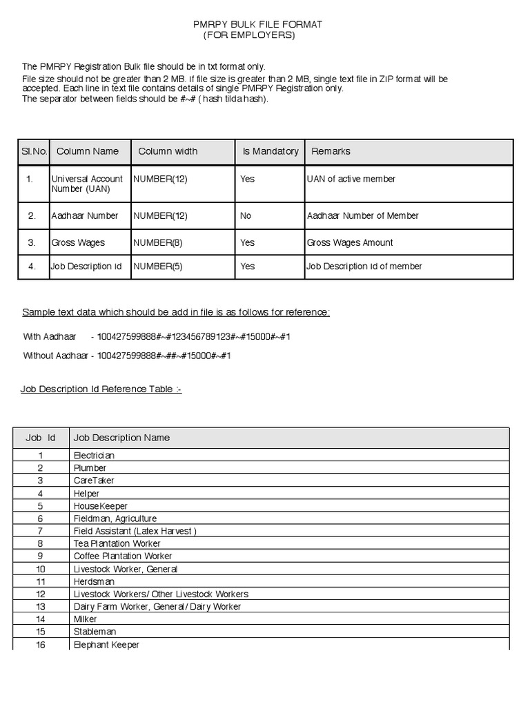 PMRPY Bulk File Guide for Employers | PDF