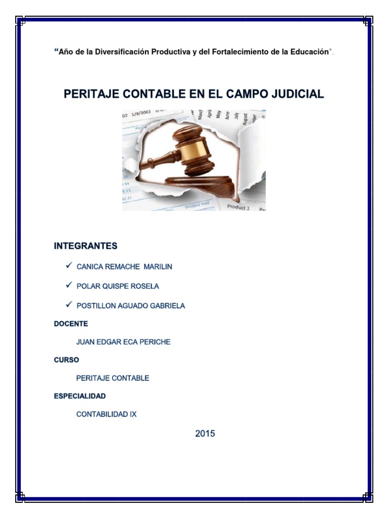 Peritaje Contable En El Campo Judicial Pdf Testigo Experto