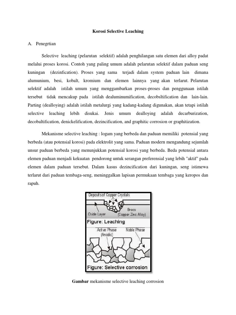 Korosi Selective Leaching | PDF
