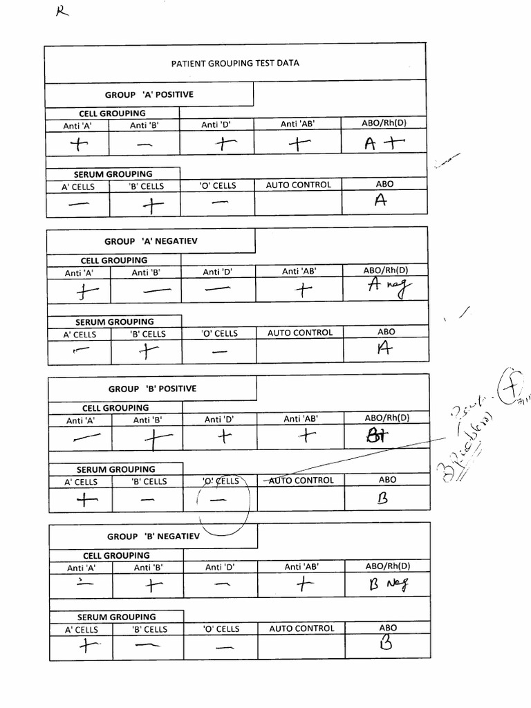 Blood Bank Test | PDF | Blood Type | Blood Plasma