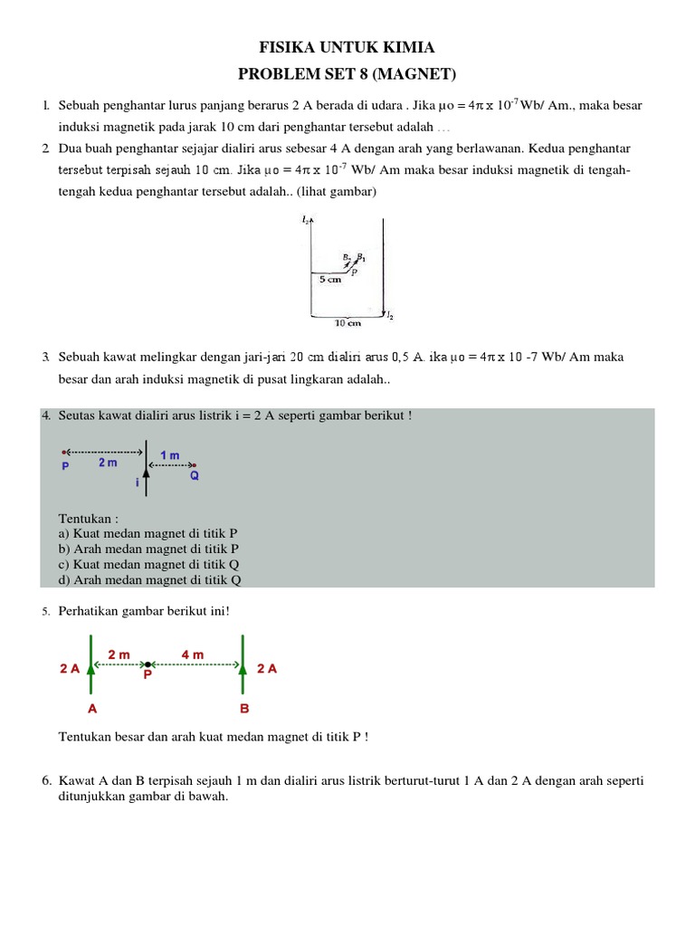 Problem Set 8 (Magnet) | PDF