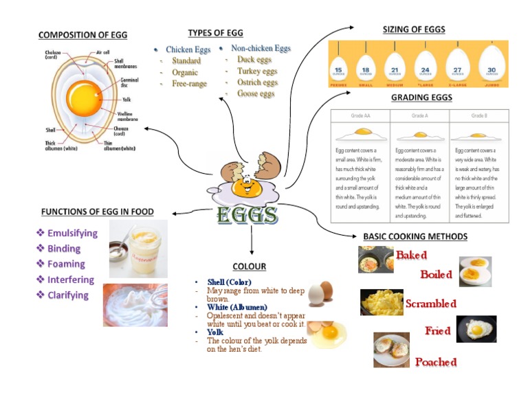 Egg Cooking Methods and Quality | PDF