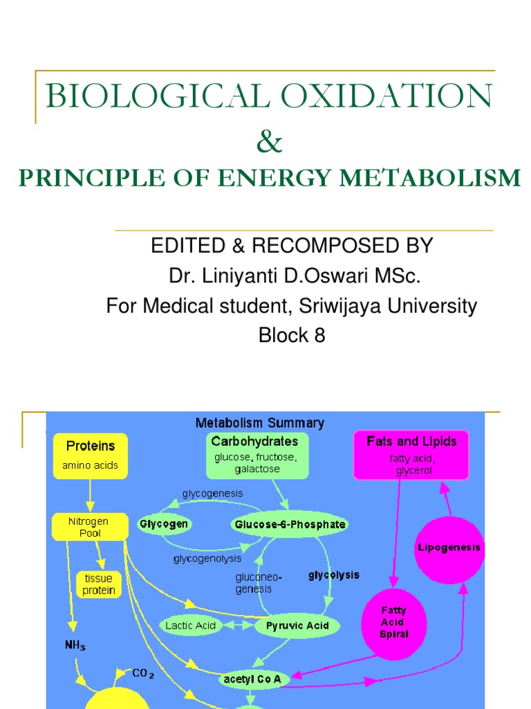 BIOLOGICAL OXIDATION & Principle of Energy Metabolism | PDF | Adenosine ...