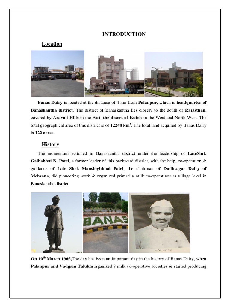 Banas Dairy 2017 New | PDF | Dairy | Butter