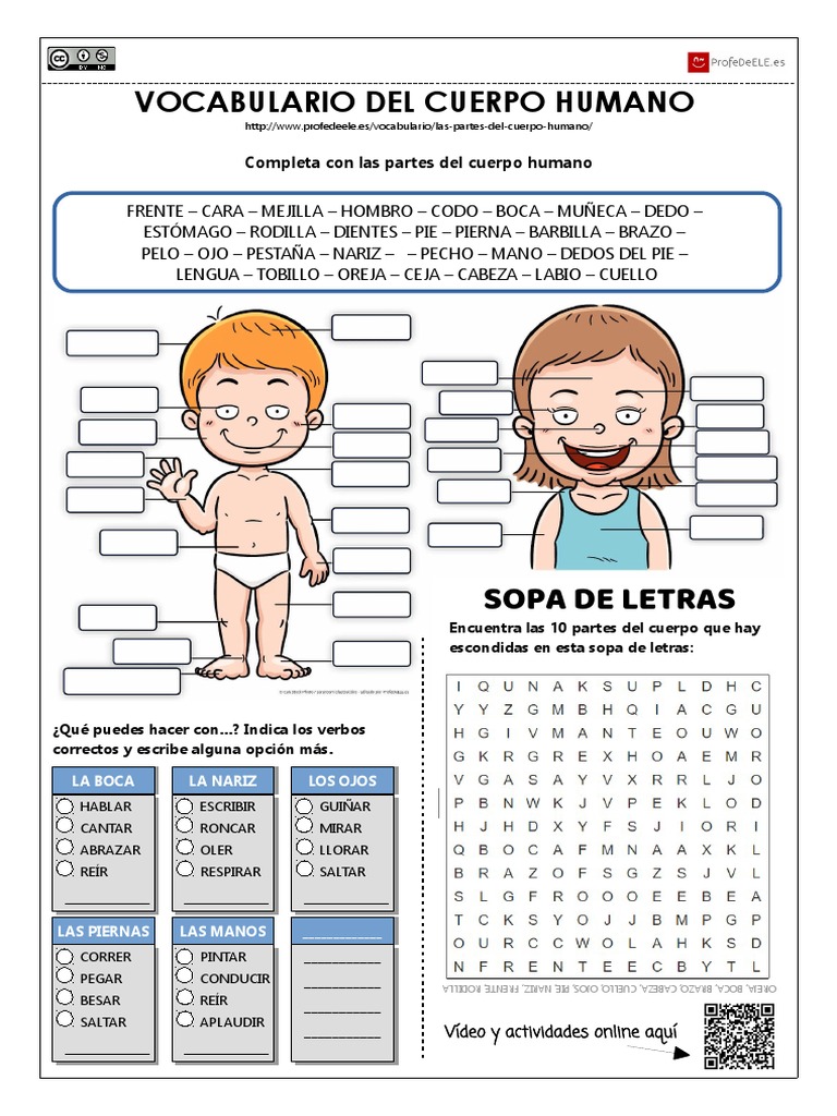 Ficha Cuerpo Humano Pdf