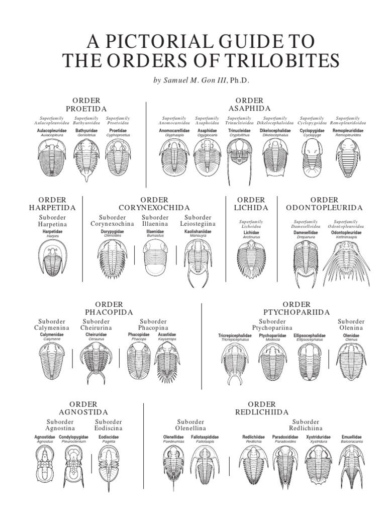 Trilobite Pictorial Guide | PDF | Science | Geology