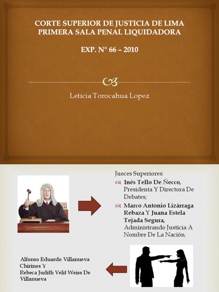 Expocicion Final de Peritaje | PDF | Castigos | Gobierno