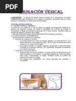 CISTOCLISIS | PDF | Vejiga urinaria | Orina