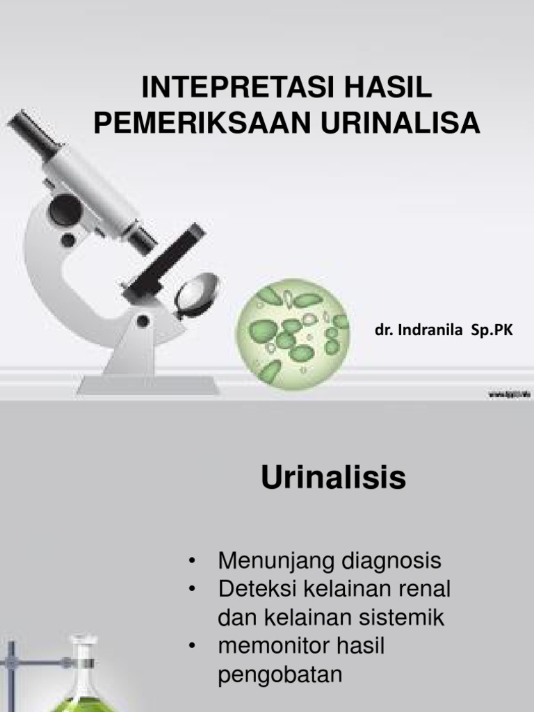 Interpretasi Hasil Urinalisa | PDF