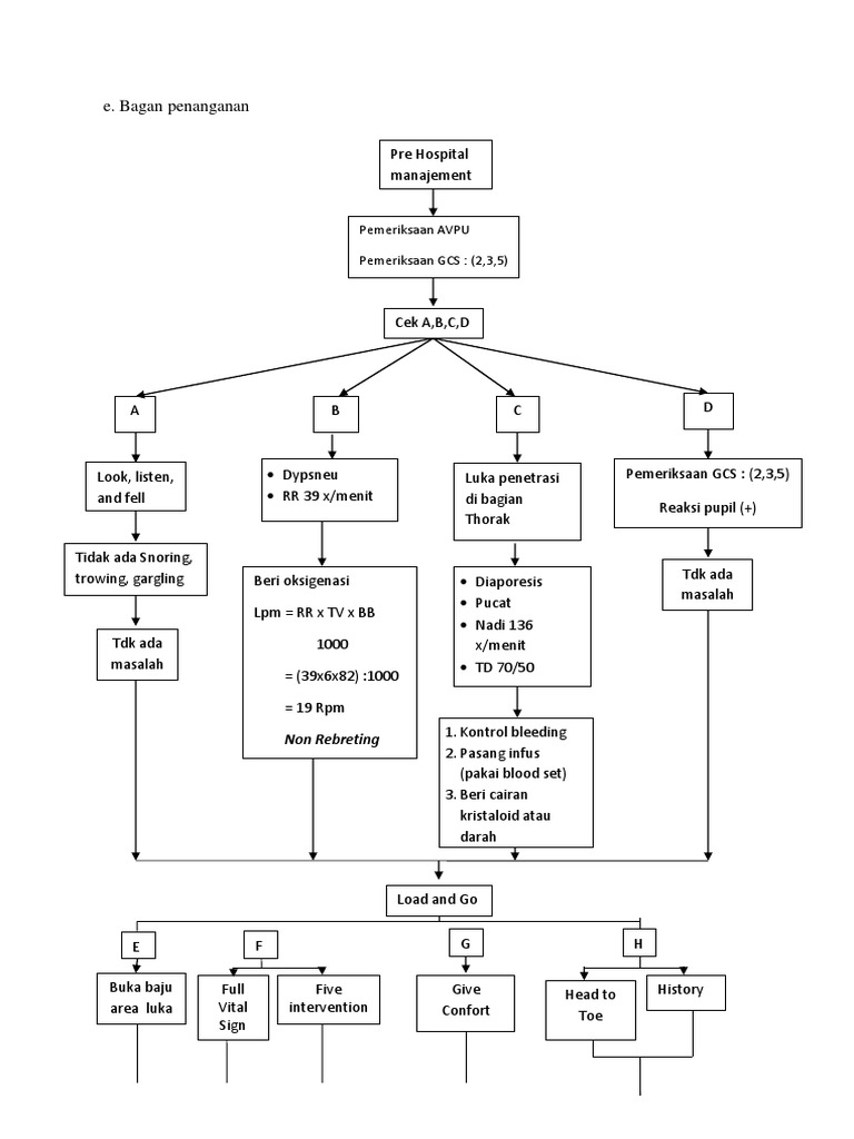 E. Bagan Penanganan: Pemeriksaan AVPU Pemeriksaan GCS: (2,3,5) | PDF