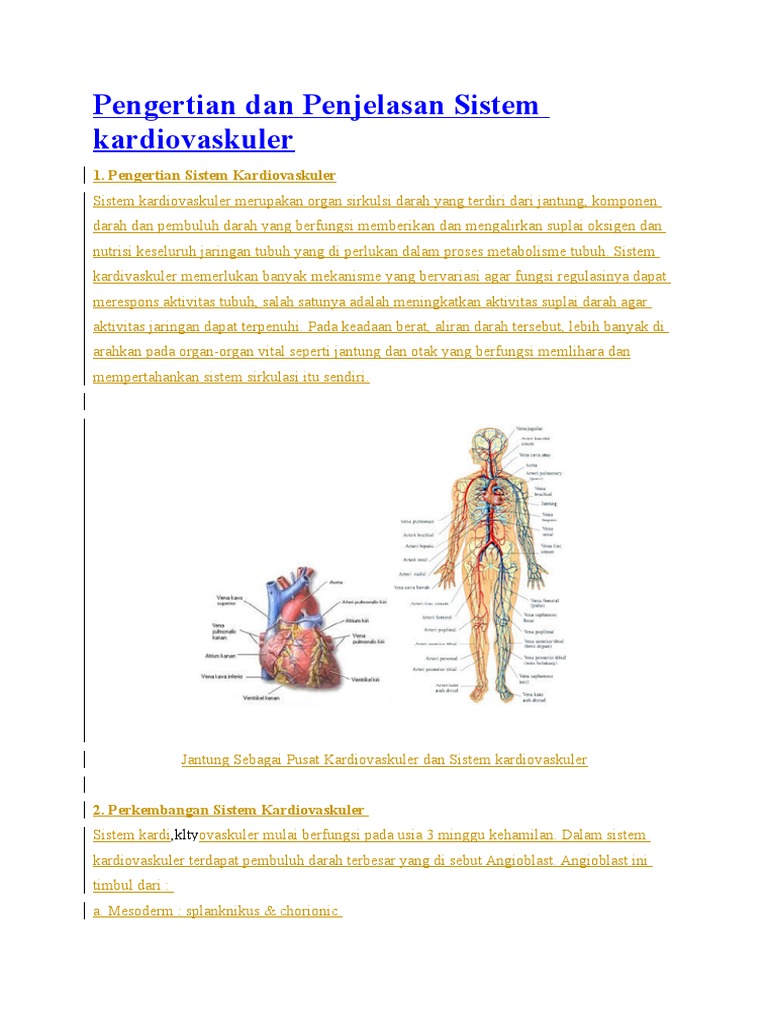 Pengertian Dan Penjelasan Sistem Kardiovaskuler | PDF
