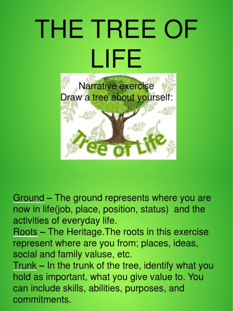 Tree of Life Personal Narrative Guide | PDF | Language Arts ...