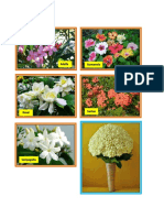 Halamang Dahon | PDF