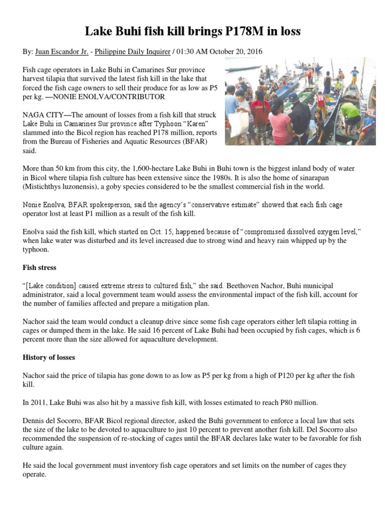 Massive Fish Kill in Lake Buhi from Typhoon Karen Results in P178 ...