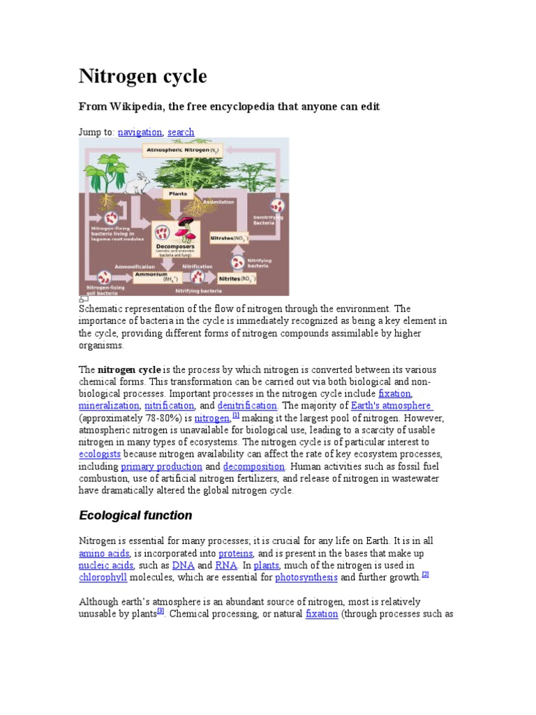 Nitrogen Cycle | PDF | Nitrogen | Eutrophication