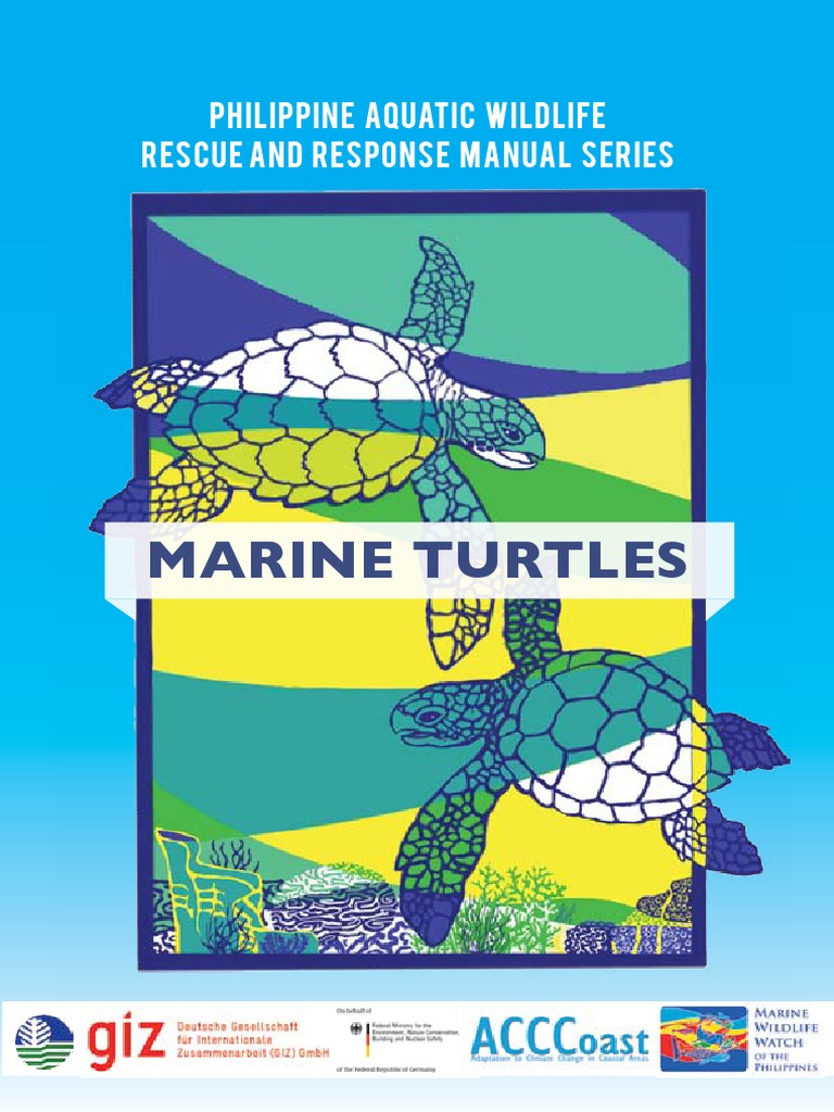 Rescue Response Manual - Marine Turtles | PDF | Sea Turtle | Coral Reef