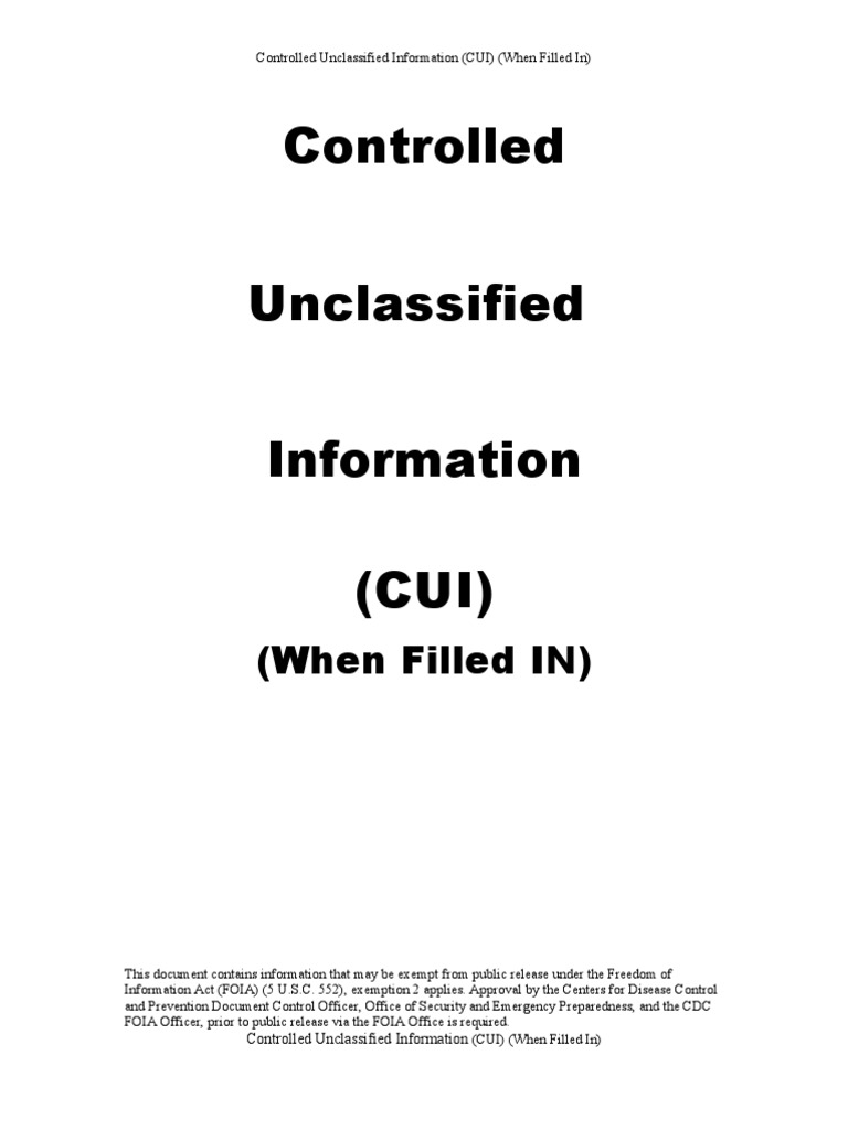 RAR Template 07112007 | PDF | Business | Computers