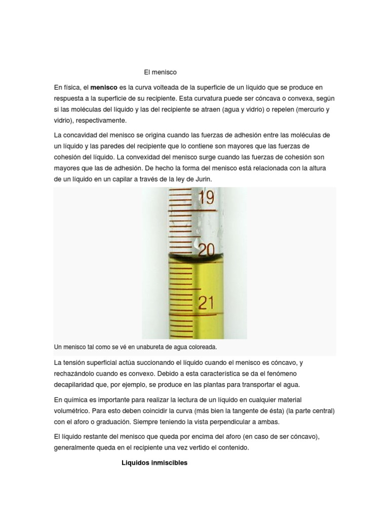 El Menisco | PDF | Química | Ciencias fisicas
