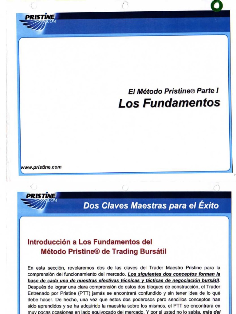Pristine Capitulo 2-Fundamentos - Oliver Velez | PDF