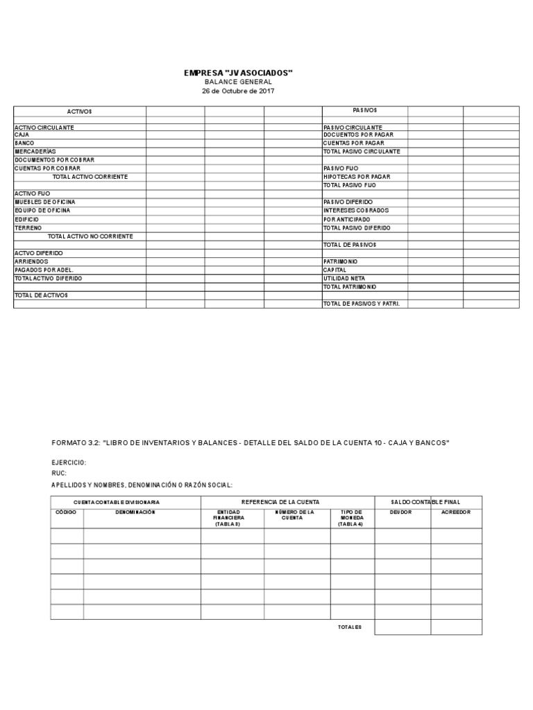 Balance General Formato | Hoja de balance | Contabilidad