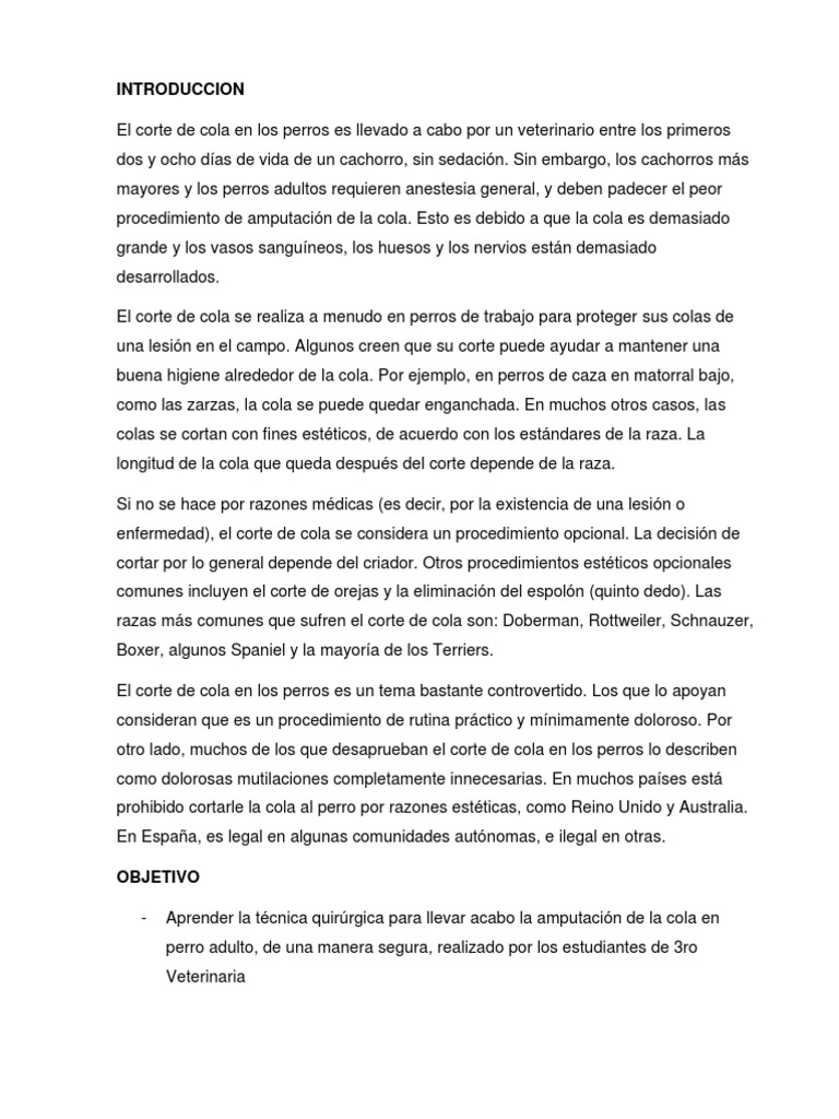 Caudectomia | PDF | Perros | Cirugía