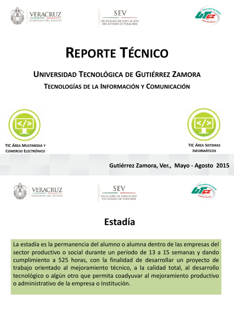 Estructura Del Reporte Técnico. (1) | Red mundial | Tecnología