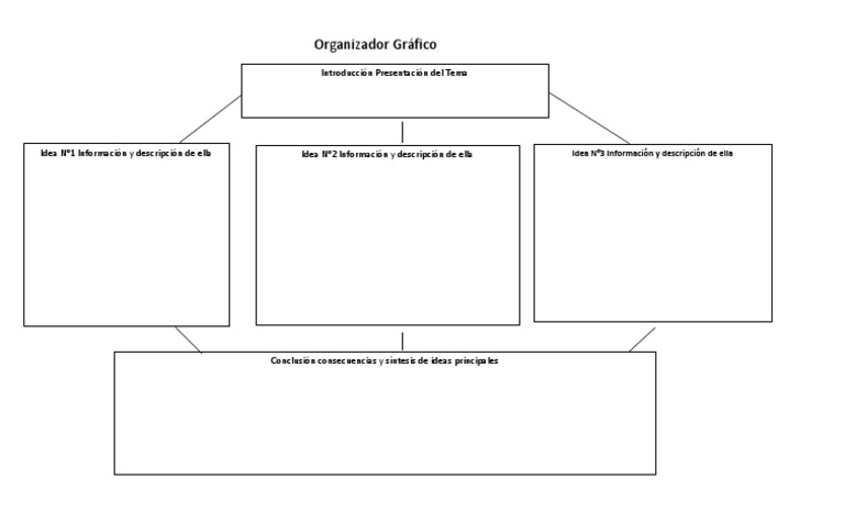 Organizador Gráfico 4° texto instructivo