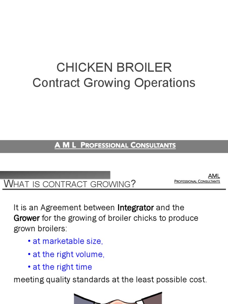 Broiler Contract Growing Executive Summary | Investor | Money Laundering