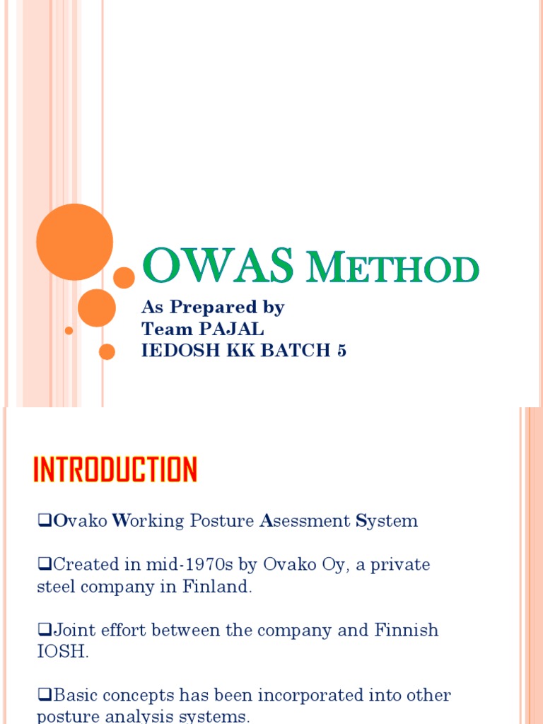 Owas Method | PDF | Anatomical Terms Of Motion | Business
