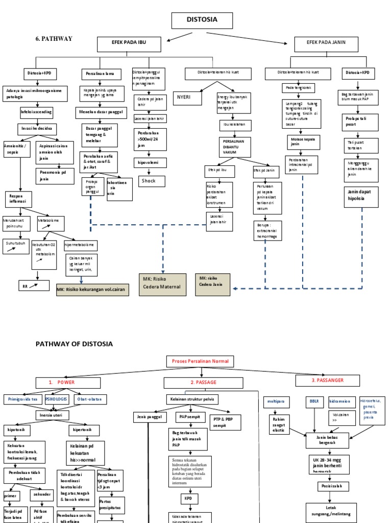 Pathway Distosia dalam Persalinan | PDF