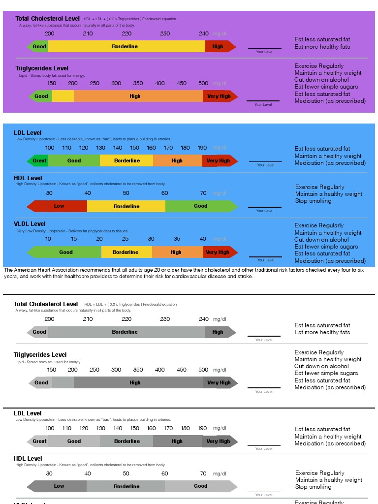 Lipid Panel Education Tool | PDF | Cholesterol | Lipoprotein