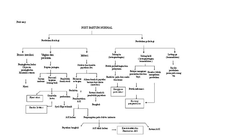 Panduan Perawatan Post Partum Normal | PDF
