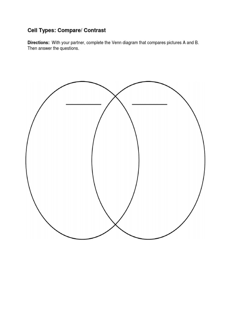 Cell Types: Compare/ Contrast: Directions: With Your Partner, Complete ...